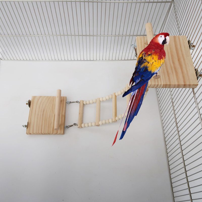 Hout Hamster Stand Play Gym Klimmen Ladder Speeltu... – Vicedeal