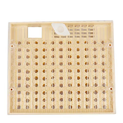 Full Set Bees Queen Rearing Kit Beekeeping Tools B... – Grandado