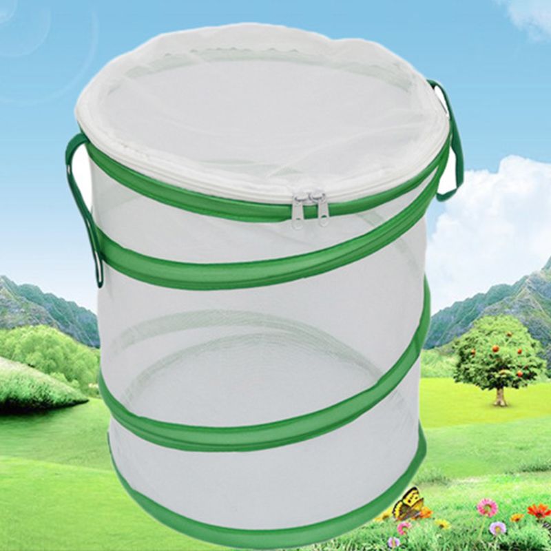 Folding Butterfly Habitat Cage Portable Insect Ter... – Grandado