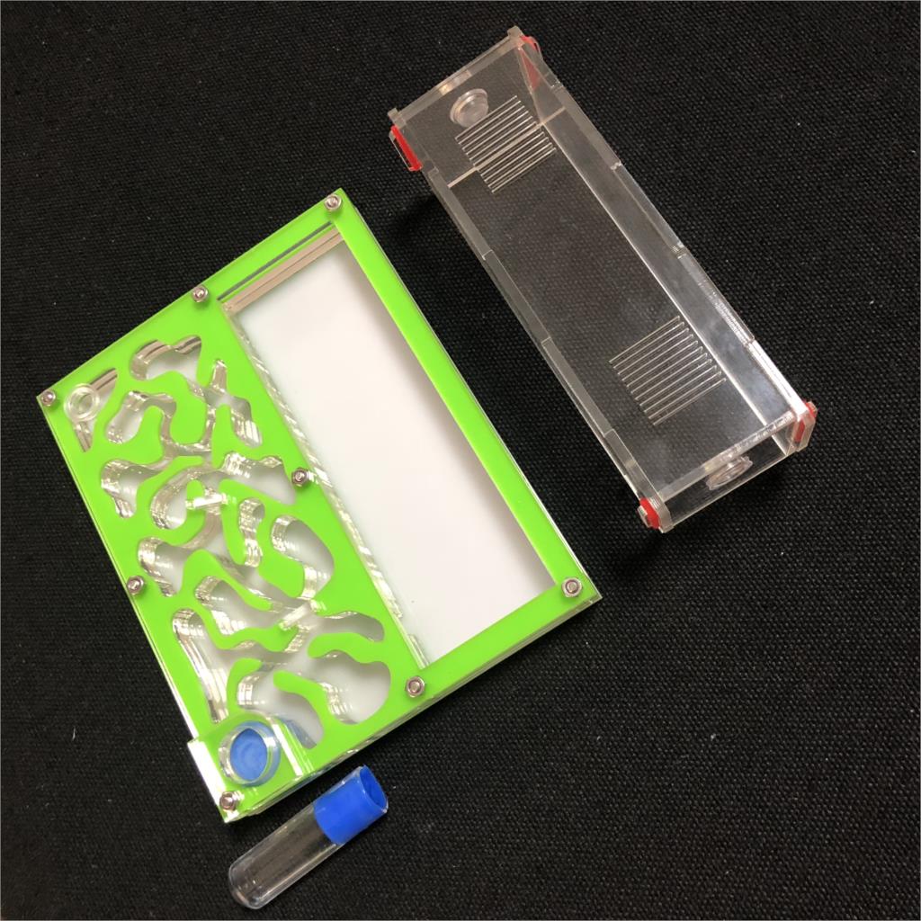150mmx110mm test tube Moisture big space Ant Nest ... – Vicedeal