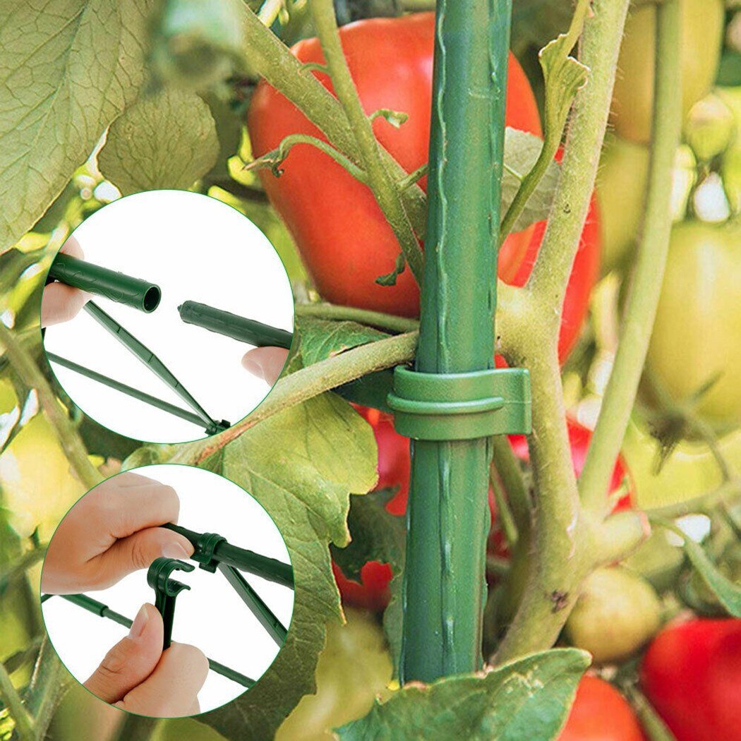 Groente Plant Trellis Connector Stake Accessoire K... – Vicedeal