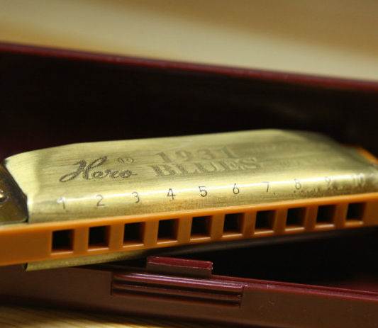 Hero 1931 Blues C Key 10 Hole Diatonic Blues Harmo... – Grandado