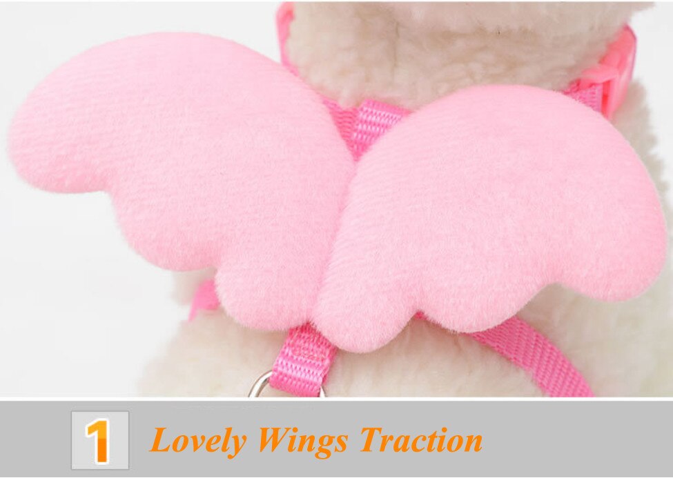 Cute Angel Pet Dog Leashes and Collars Set Puppy L... – Grandado