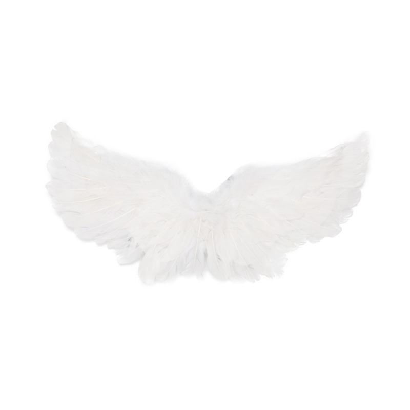 Pet Dog Cat Angel Devil Bat Wing Cosplay Prop Hall... – Grandado