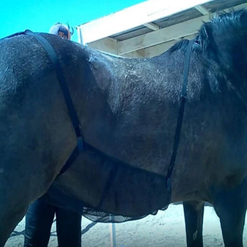 Horse Fly Sheet Belly Guard Summer Mosquito Bite B... – Vicedeal