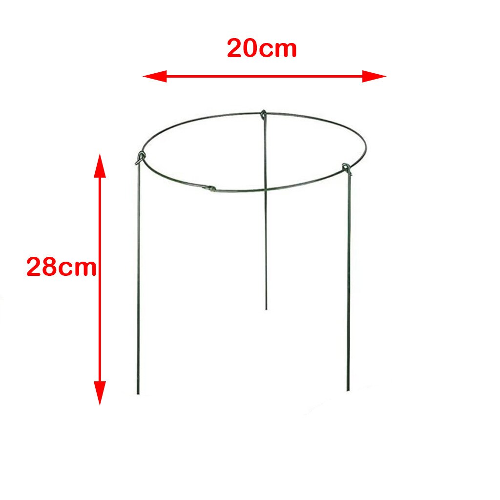 Rose Flowers Vine Garden Supply Garden Support Sta... – Vicedeal