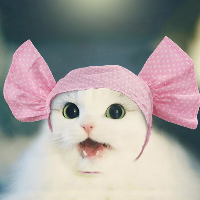 cat style headwear, funny pet headgear, pet cat cr... – Grandado