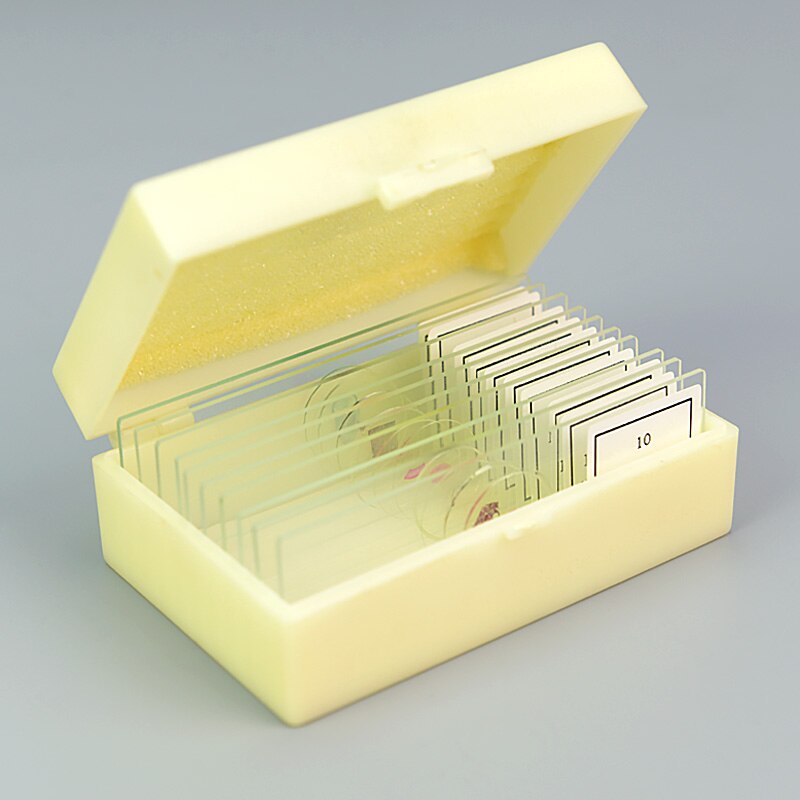 25 Pieces Prepared Microscope Slides Glass Biologi Grandado