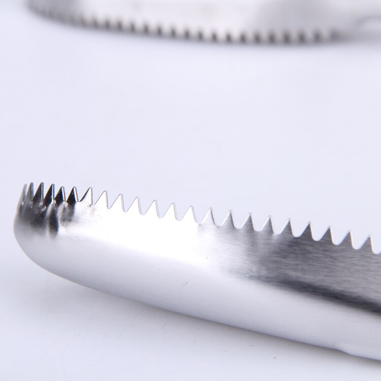 Fish Scales Scraper Fish Skin Brush Scraping with ... – Grandado