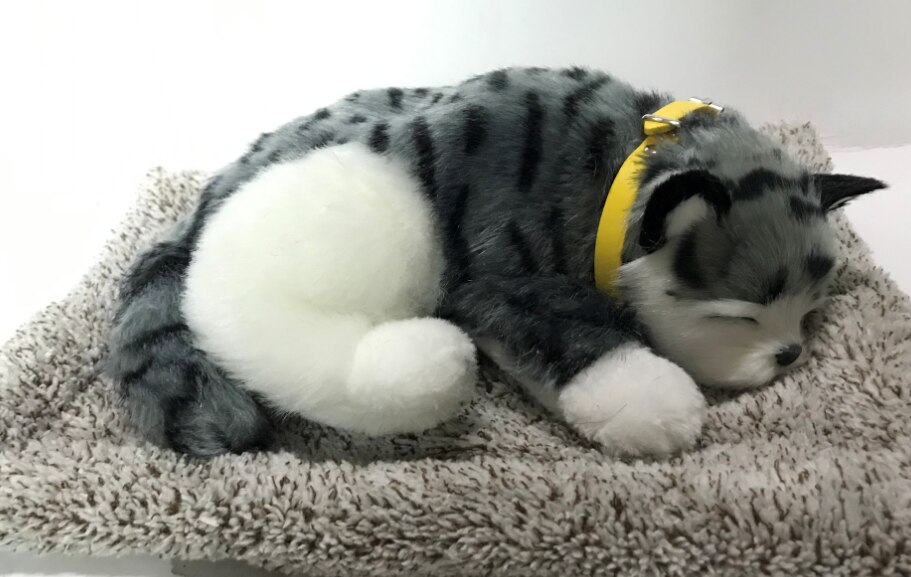 Snurken Kat Slapen Kat Met Simulatie Pluche Speelg... – Grandado