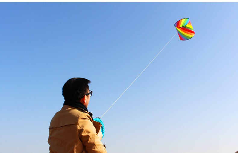 3D Single Line Rainbow Adult Kites Sports Beach Wi... – Grandado