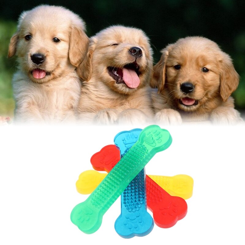 Pet Toy Dog Cat Bone Grinding Bite Chew Health Tee... – Grandado