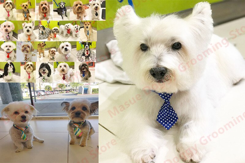 100 Uds corbatas para perro, corbatas ajustables para perros y gatos ...