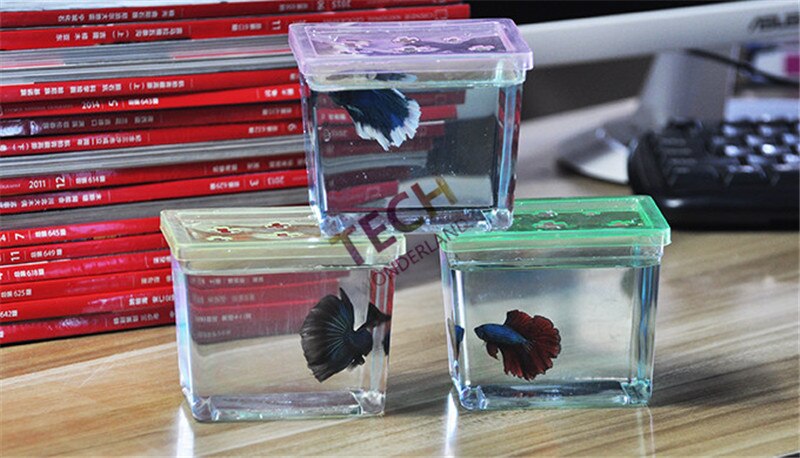 10*7.5*8.5CM 10PCS Colorful Betta House Rectangle ... – Grandado
