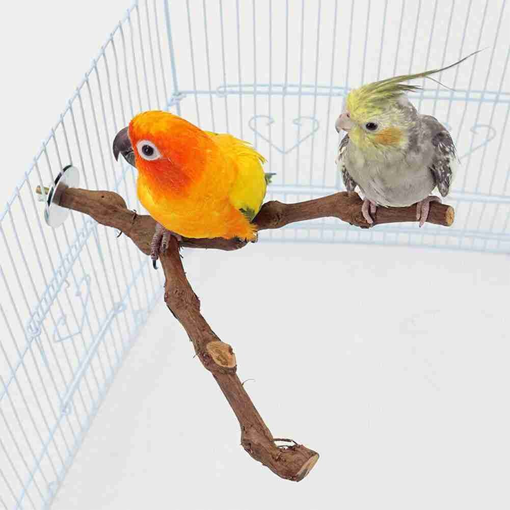 Pet Parrot Bird Standing Stick Wild Grape Wood Pol... – Vicedeal