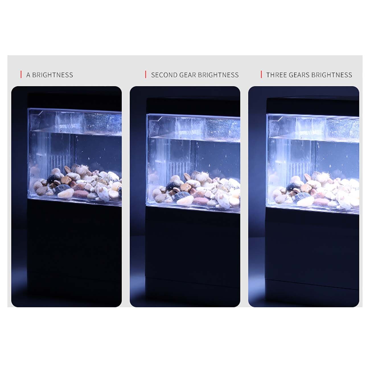 Desktop Mini Fish Tank with Filter and LED Light A... – Grandado