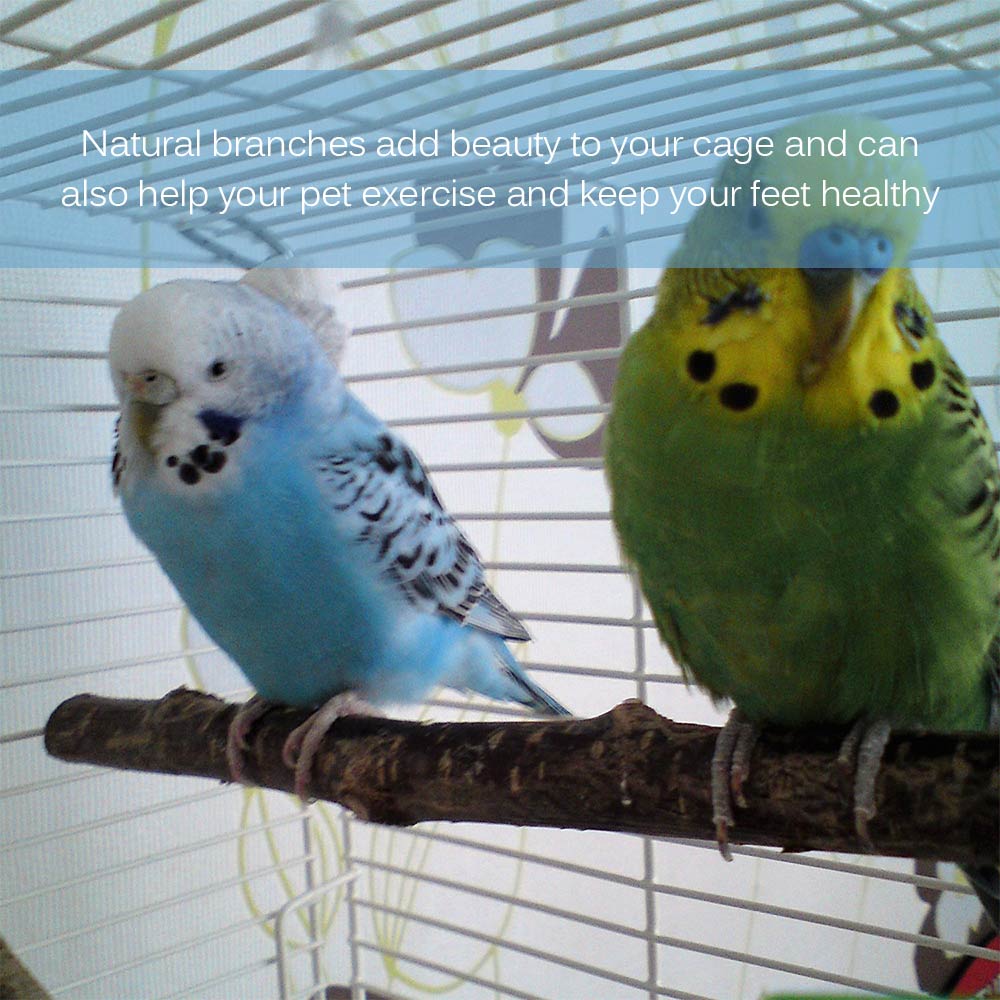 10Pcs Papegaai Vogel Stand Bar Stand Swing Papegaa... – Vicedeal