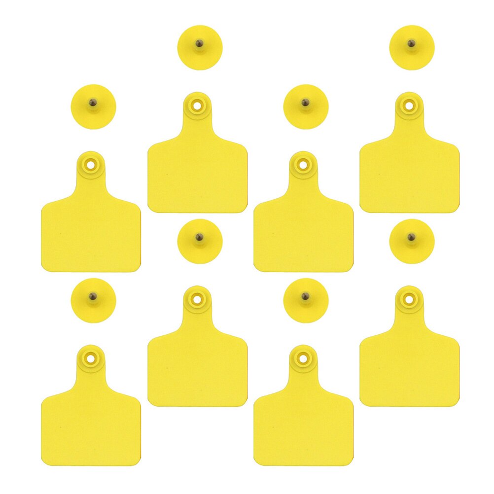 100pcs Blank Cattle Ear Tags Cattle Accessories Du... – Grandado