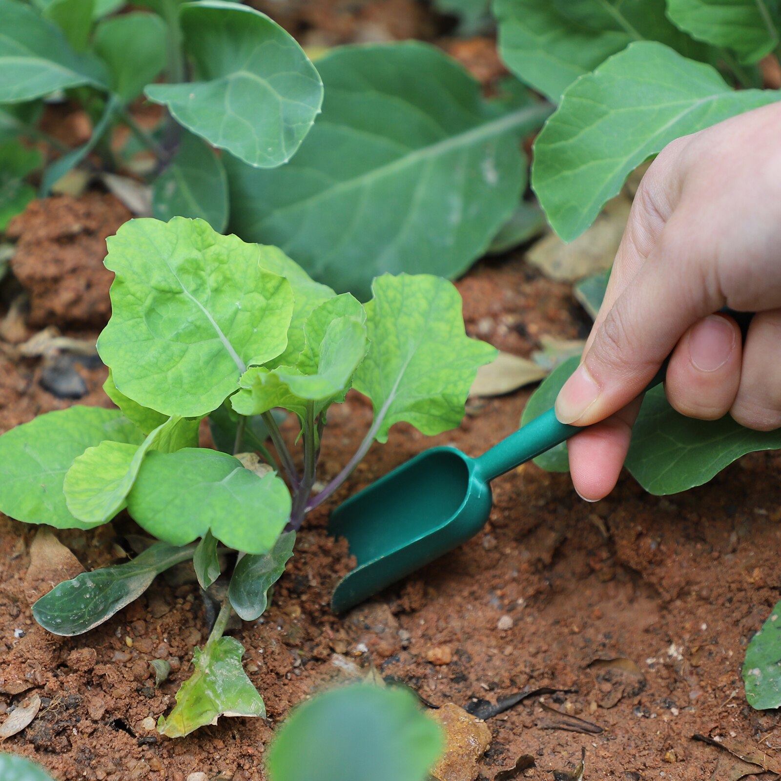 Plants Riser Planting Bonsai Gadgets Mini Adjustab... – Vicedeal