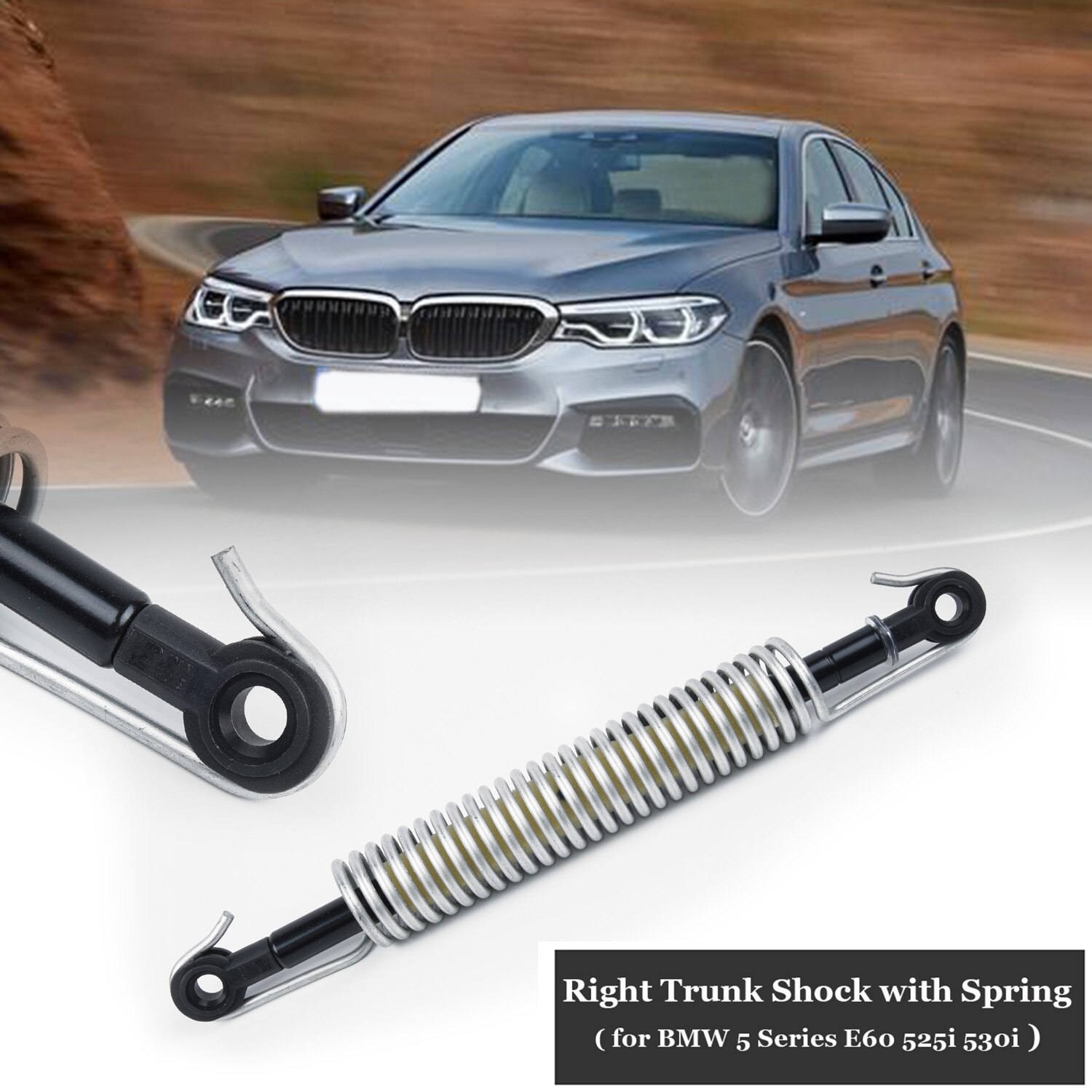 Right Rear Lid Strut 5 SERIES E60 Trunk shok with ... – Vicedeal