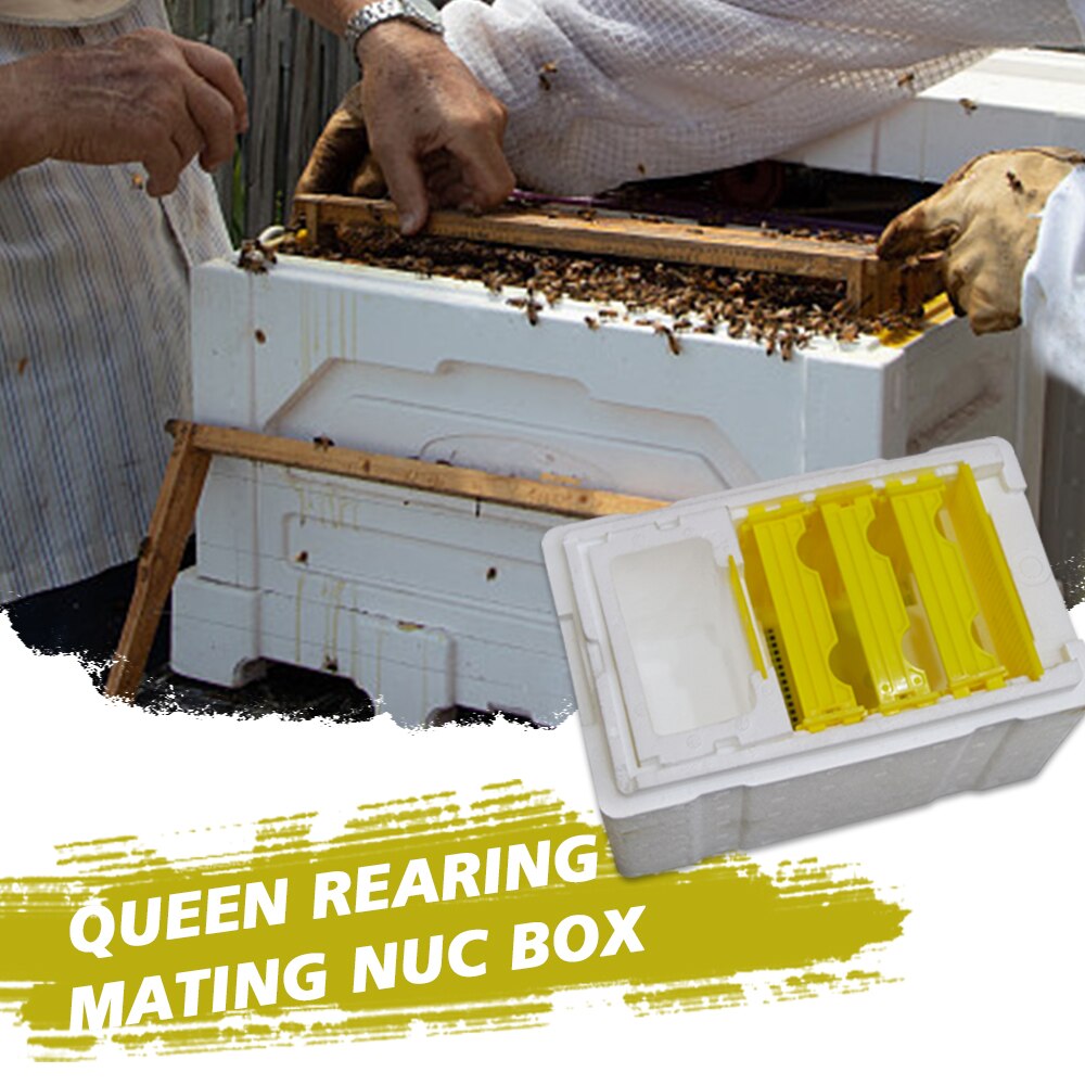 Queen Bee Rearing Mating Beehive Nuc Harvest Polli... – Grandado