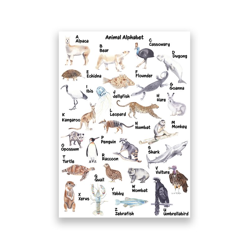 Ocean Sea Animals Alphabet Art Prints Education Po... – Vicedeal