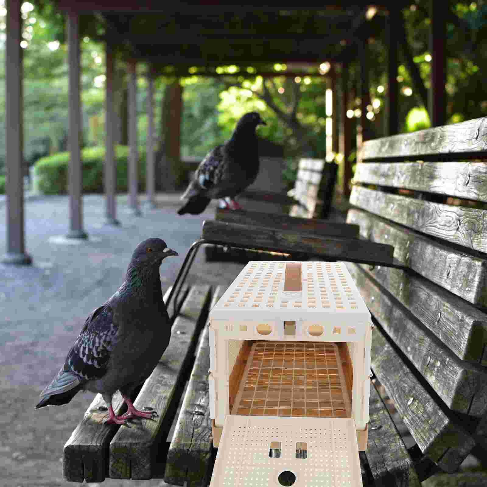 Pet Cage Small Pet Cage Foldable Pigeon Cage Pet S... – Vicedeal