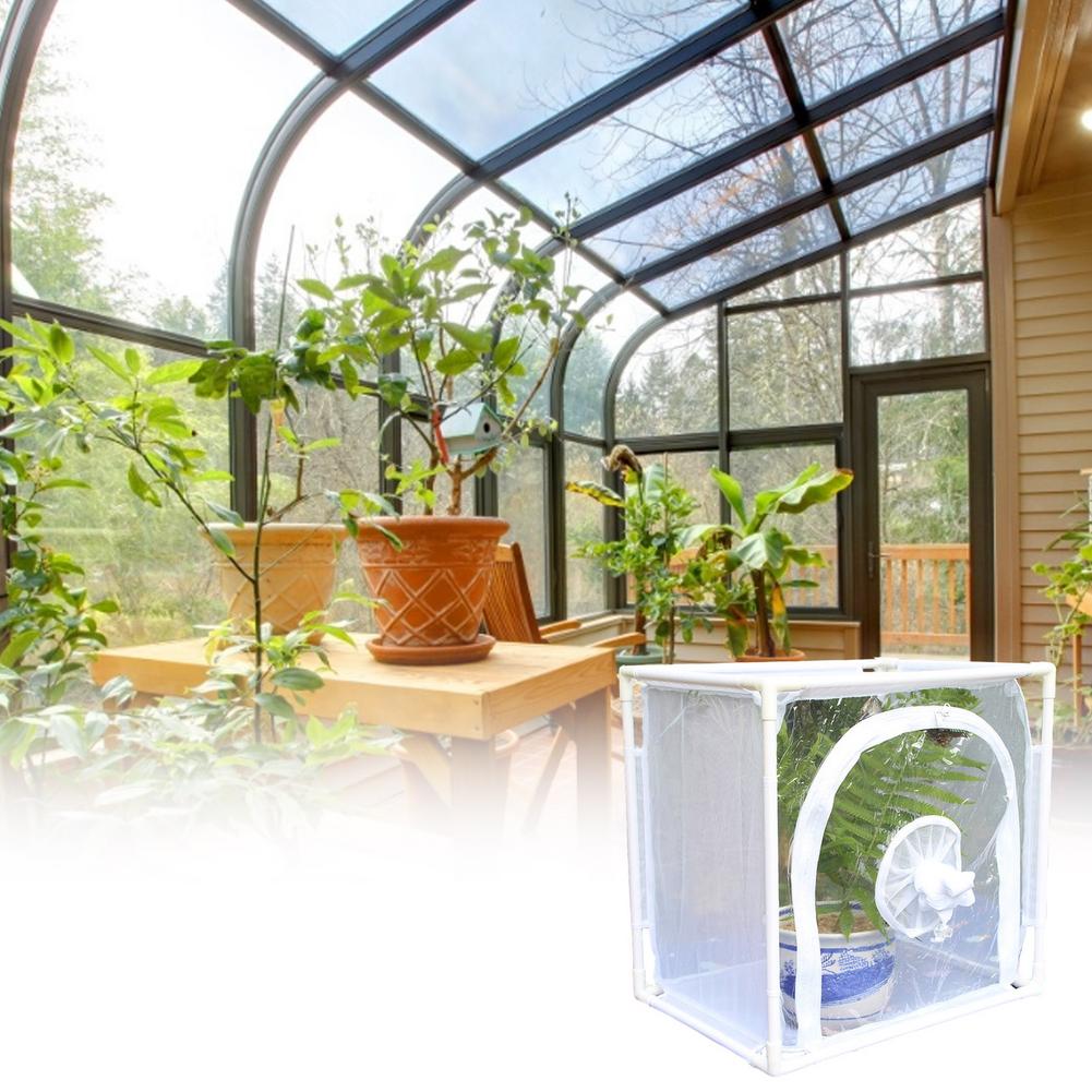 Mini Plant Greenhouse PVC Multifunctional Plant In... – Grandado