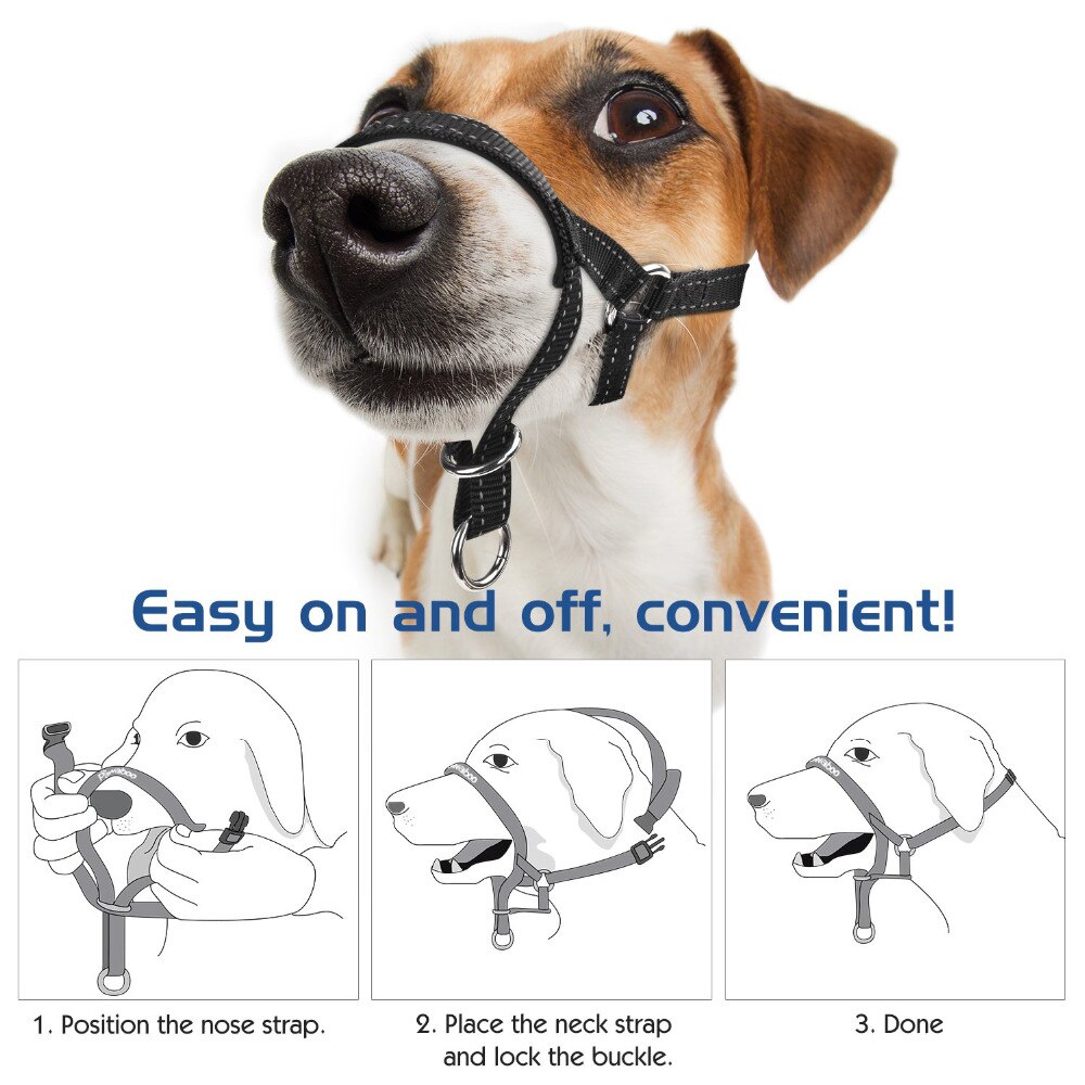 Muselière pour chien, collier tête de chien, licou... – Grandado
