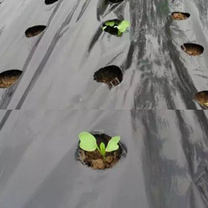 95cm*5m Black Garden Film Hi Vegetable Plants Grow... – Grandado