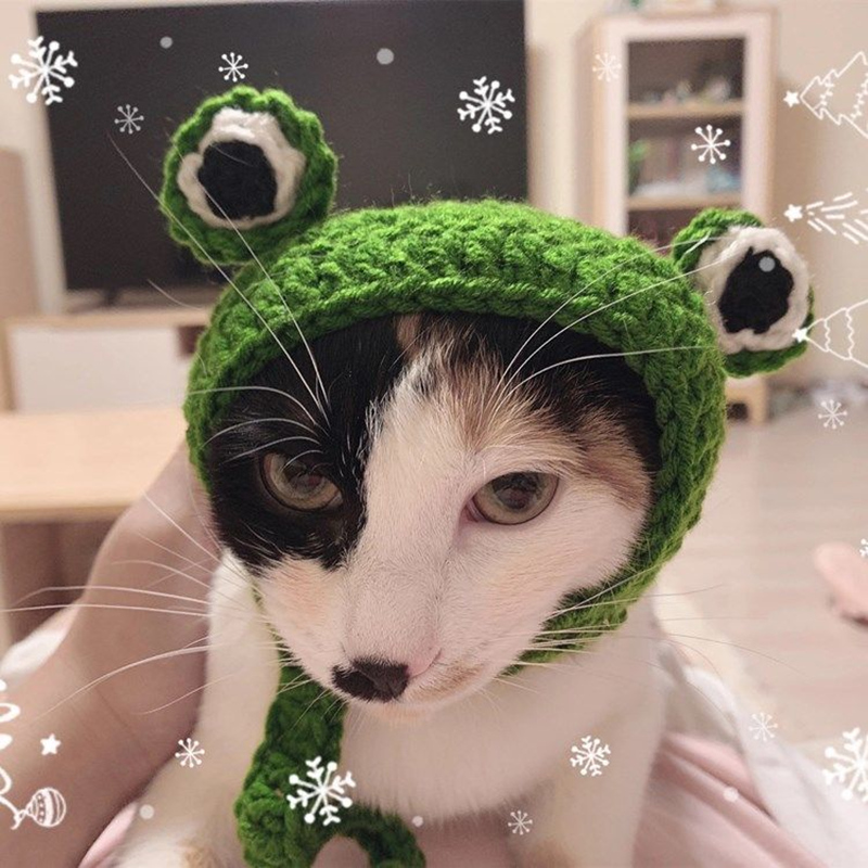 Pet Knitted Handmade Hat for Cats Dogs Cute Frog S... – Grandado