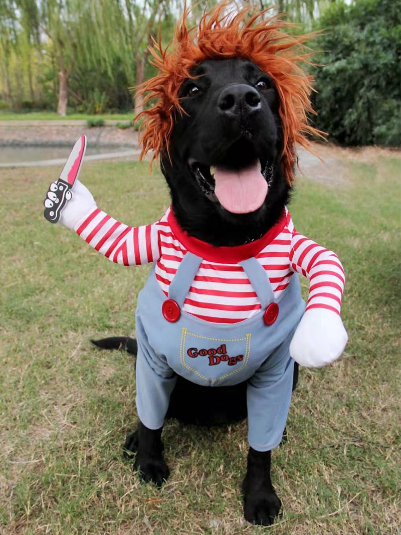 Huisdier Kat Hond Kleding Cowboy Hond Jas Hond Kos... – Vicedeal