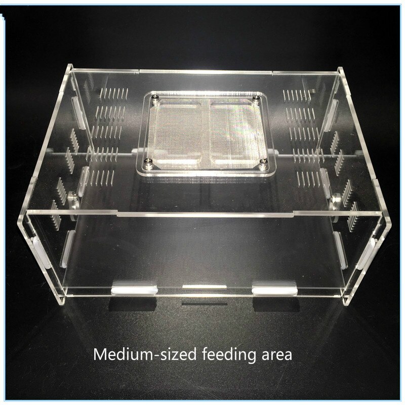 Acrylic feeding area small pet feeding box all kin... – Grandado