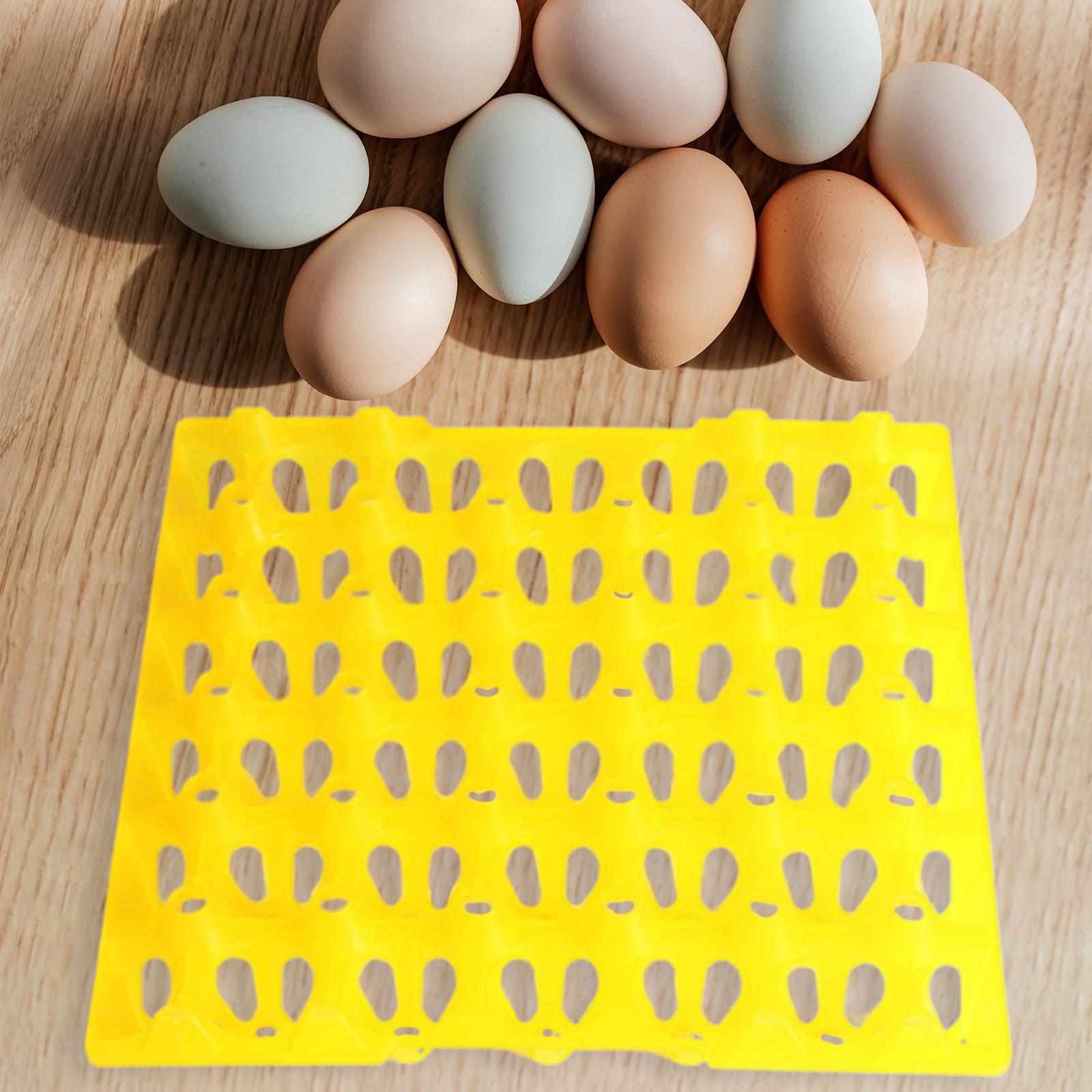 30 Grids Long Distance Transport Plastic Egg Holde... – Grandado