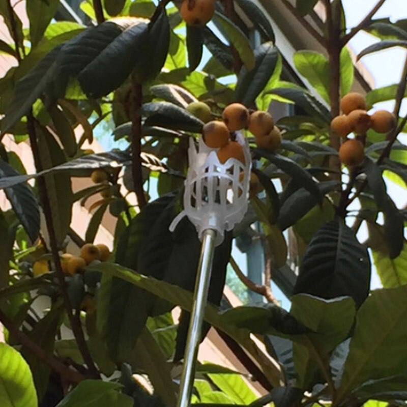 Fruit Picking Head Fruit Equipment Gardening Tools... – Vicedeal