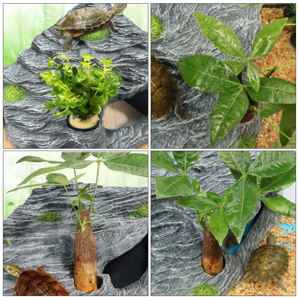 1Set Aquarium Fish Tank Decor Tortoise Climbing To... – Grandado