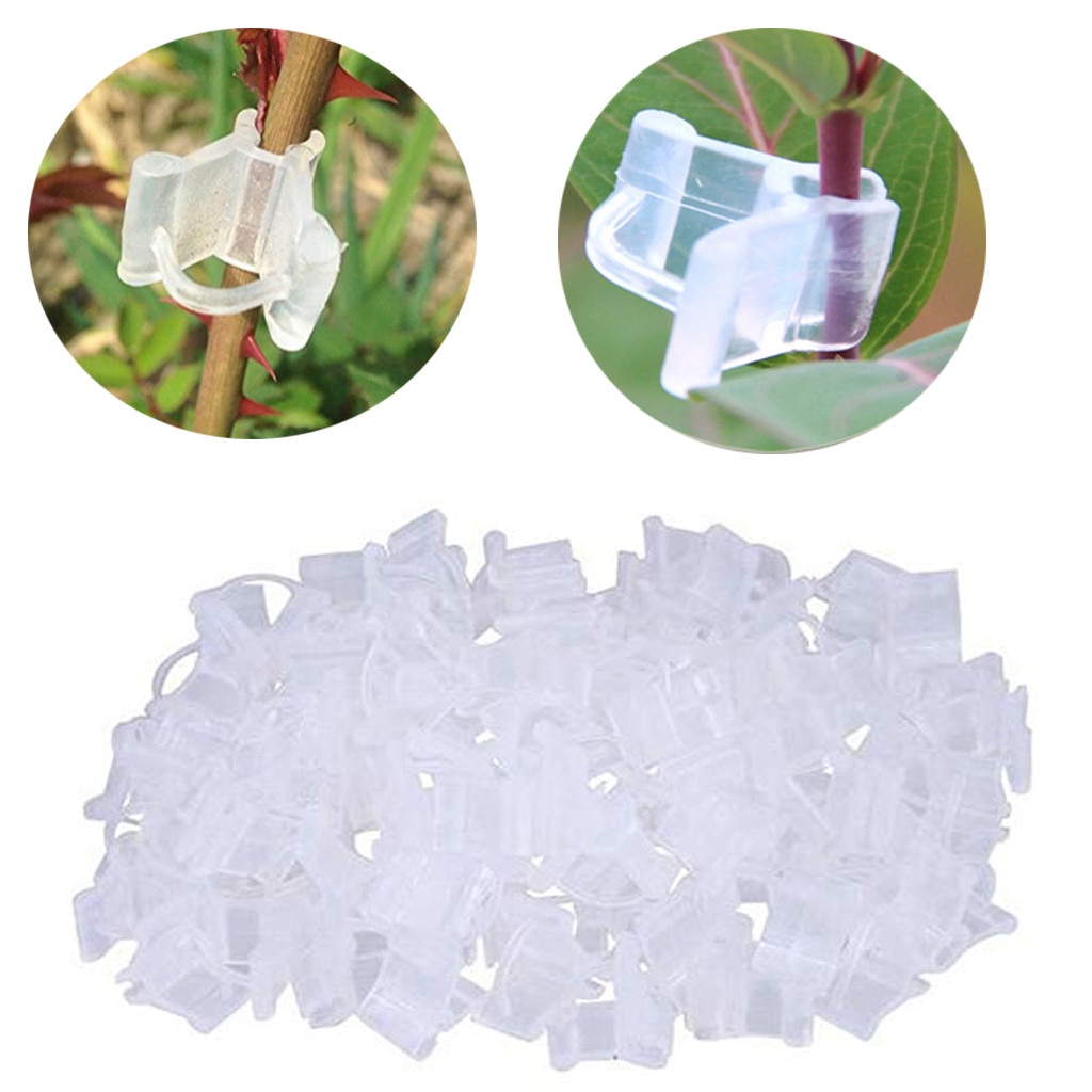 100 pièces/ensemble jardin greffage Clips plastiqu... – Grandado