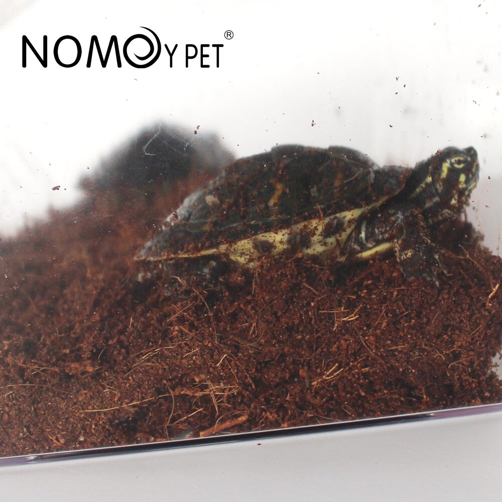 Reptile Compressed Coconut Fiber Substrate Lizard ... – Grandado