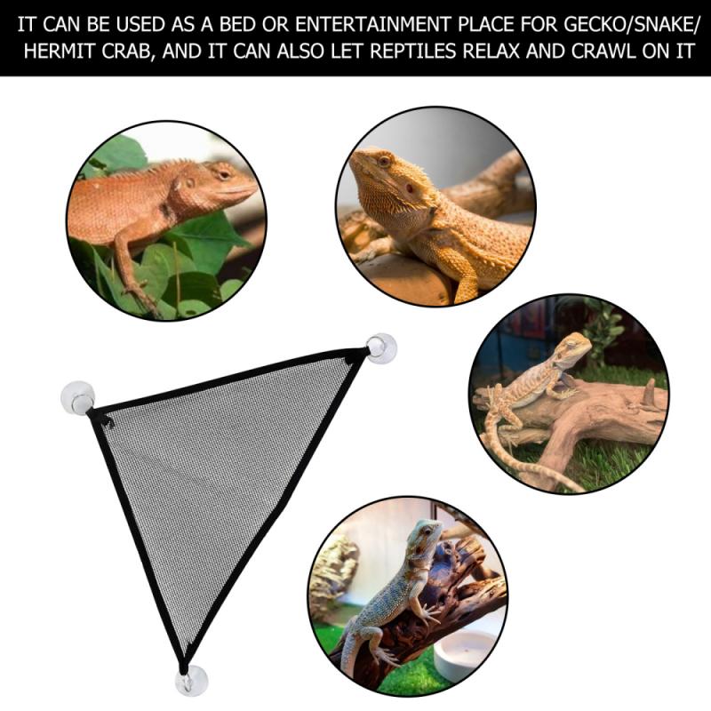 Reptile Hammock Recliner With Suction Cup For Liza... – Grandado