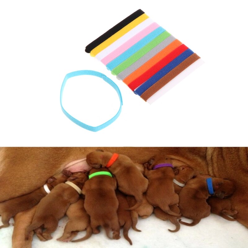 12Pcs Pets Puppy Collars Different Colors Soft Ide... – Grandado