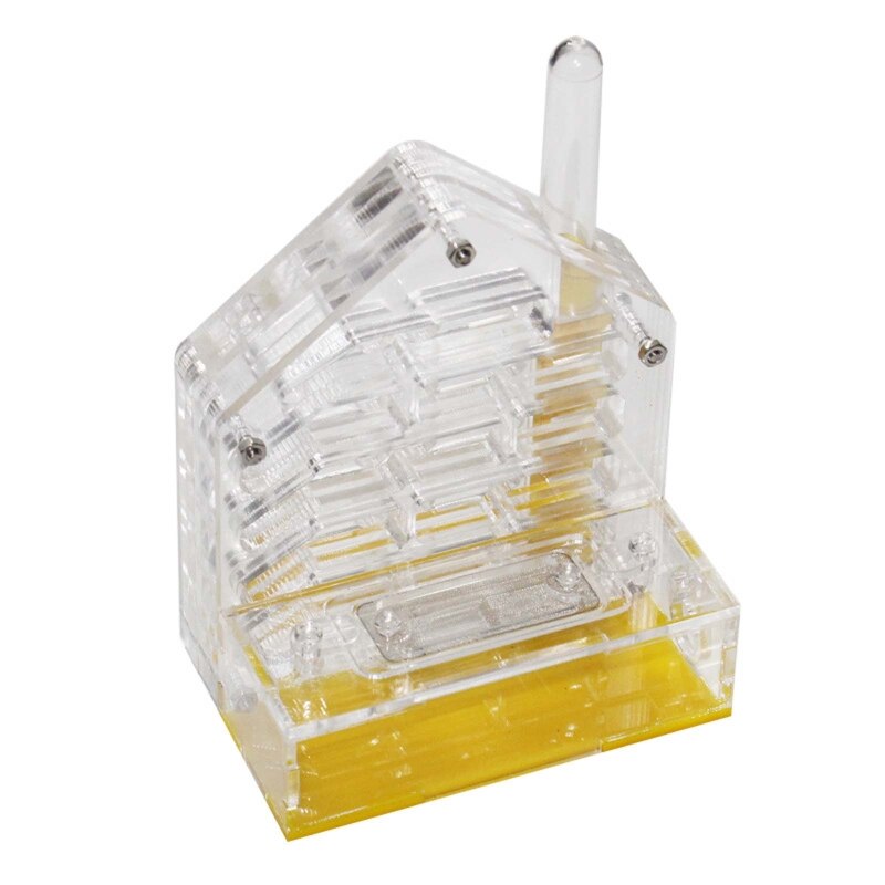 Ant Farm Acryl Nest Natuur Science Educatief Formi... – Vicedeal