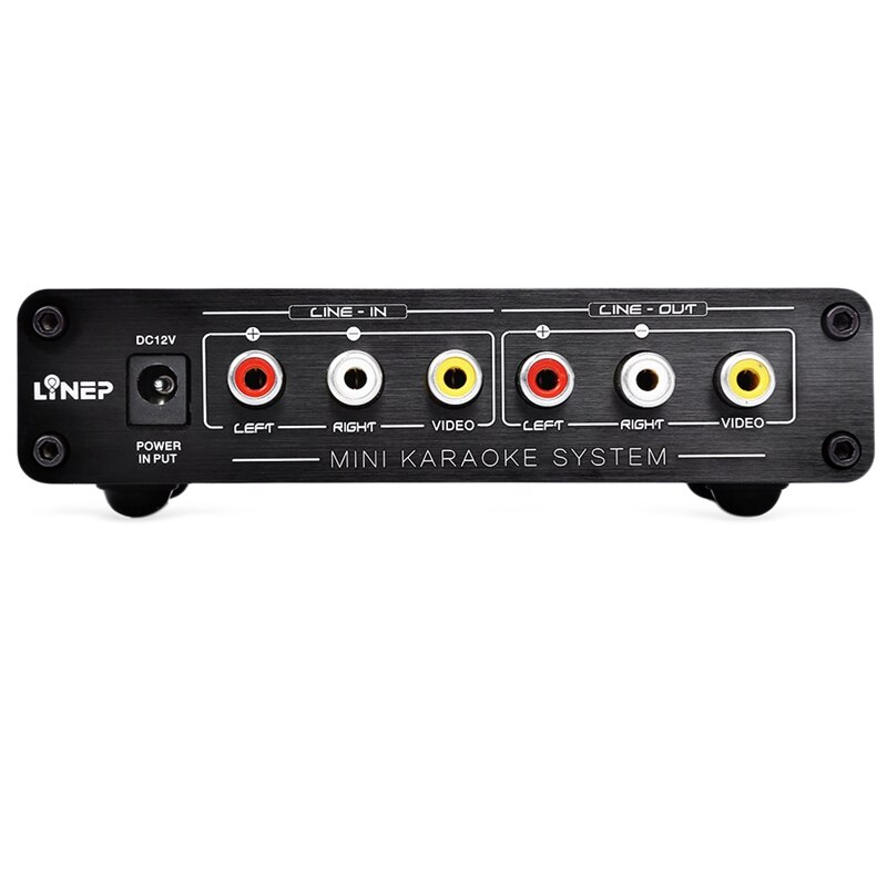 Lynepauaio Karaoke Tv/Mobile Dual-Microphone Mini ... – Grandado