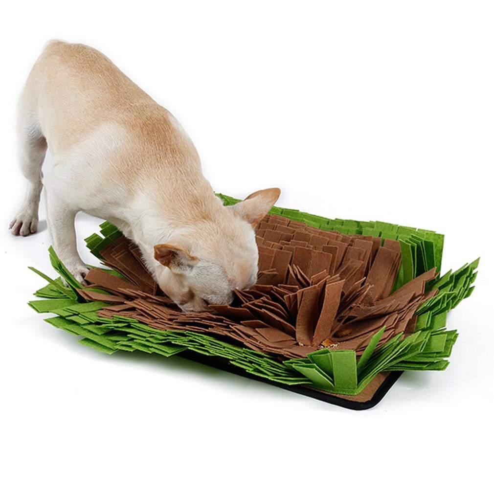 Pet Smell Training Mat Sniffing Pad Stress Nose Do... – Grandado