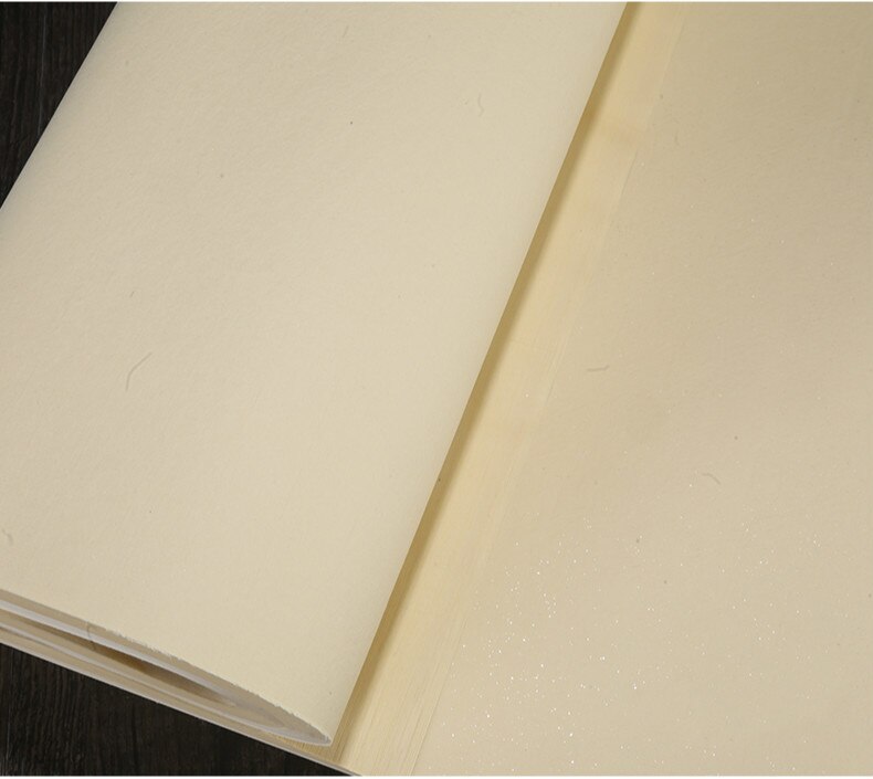 10 Sheets Alum Xuan Paper Thicken Pearl Mica Ripe ... – Vicedeal
