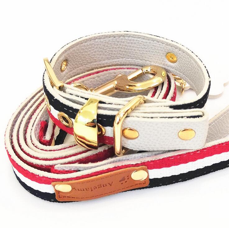 Pet Cat Dog Safety Traction Pet Leash Small Dog ID... – Grandado