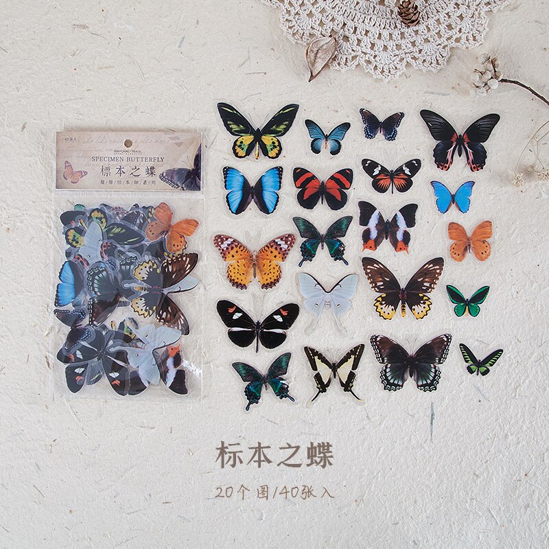 40pcs Retro animal butterfly wing PET Transparent ... – Vicedeal