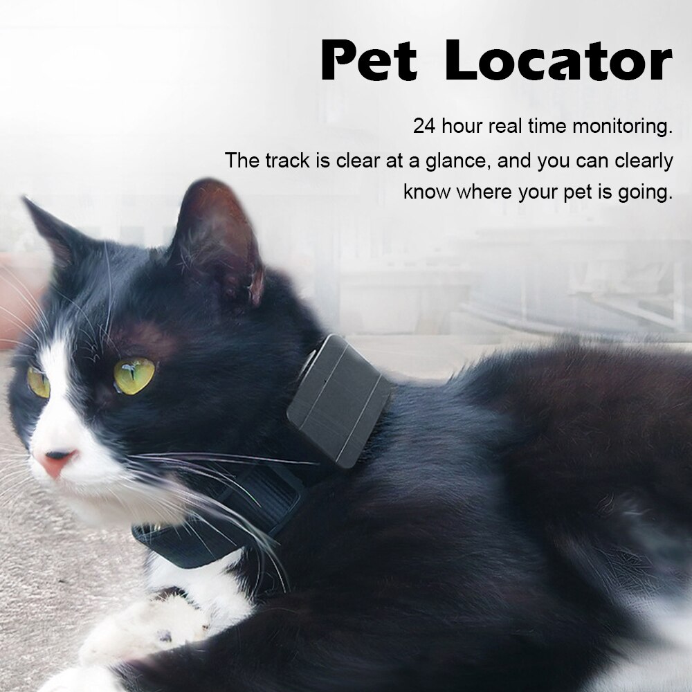 Dogs Locator APP Pet Mini GPS Trackers Locator Ant... – Grandado