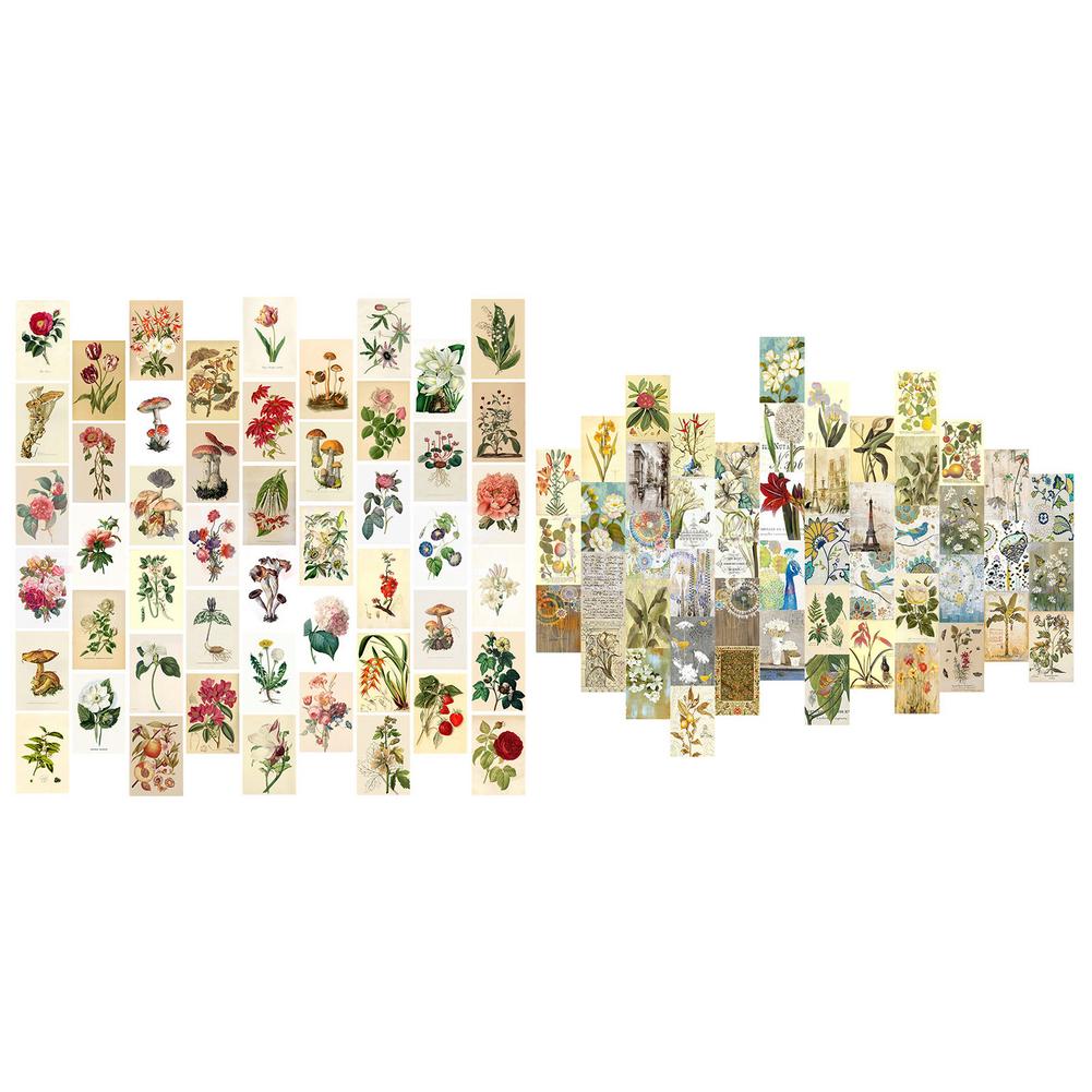 50PCS Vintage Botanical Wall Collage Kit Aesthetic... – Grandado