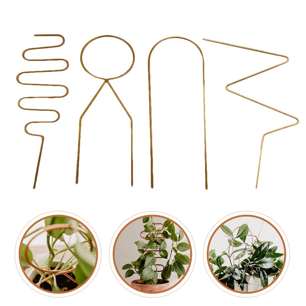4pcs Vine Plant Stands Delicate Adorable Vine Plan... – Grandado