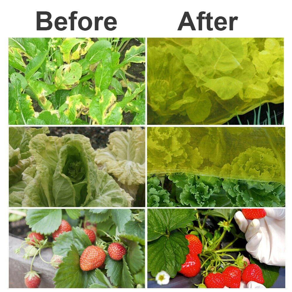 Insect Bird Barrier Netting Mesh Mosquito Garden B... – Grandado